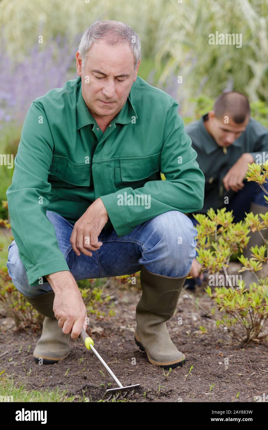 Using small rake hi-res stock photography and images - Alamy