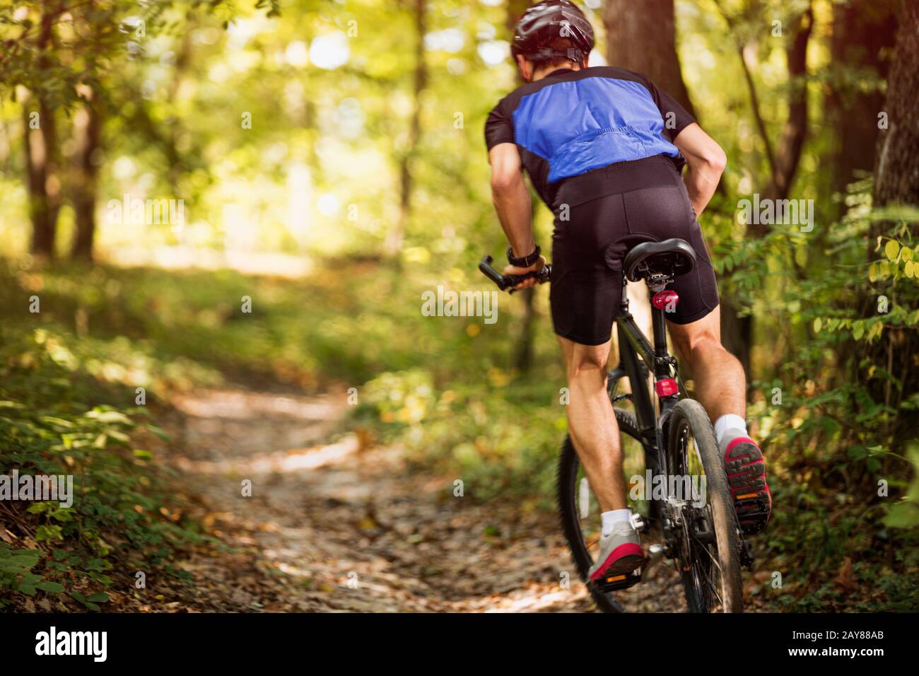 Biker in forest hi-res stock photography and images - Alamy