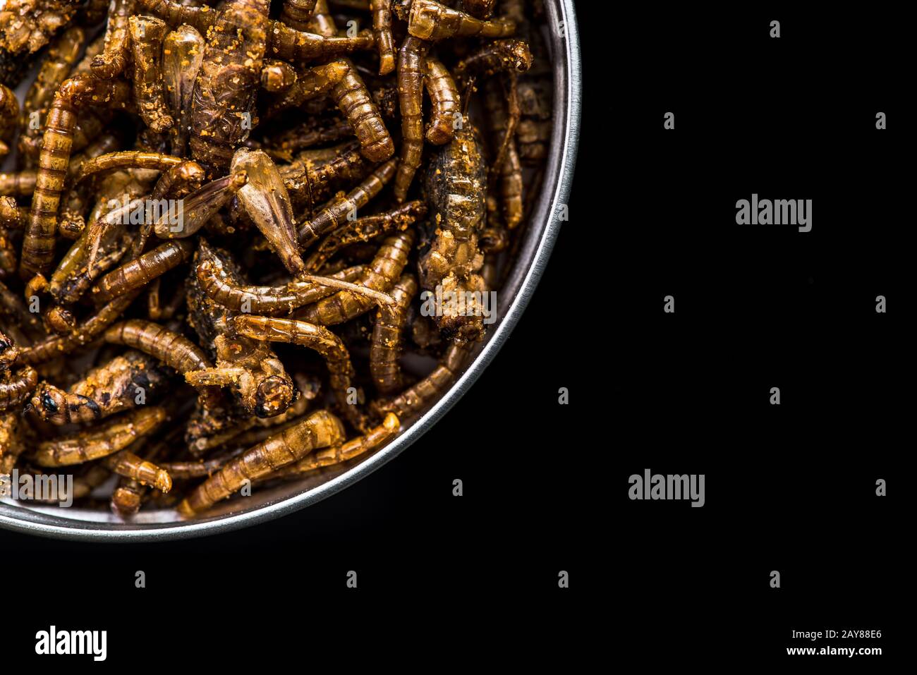 Fried worms hi-res stock photography and images - Alamy