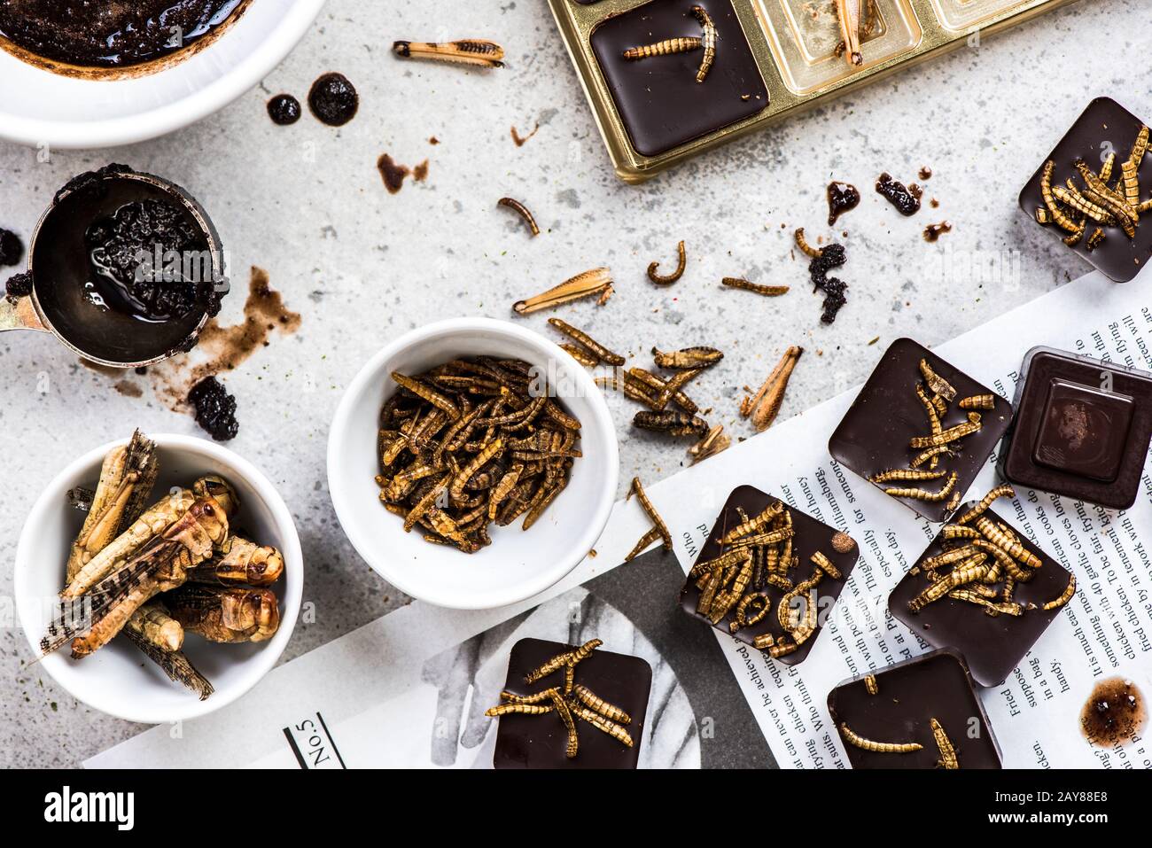 Homemade edible insects with chocolate Stock Photo - Alamy