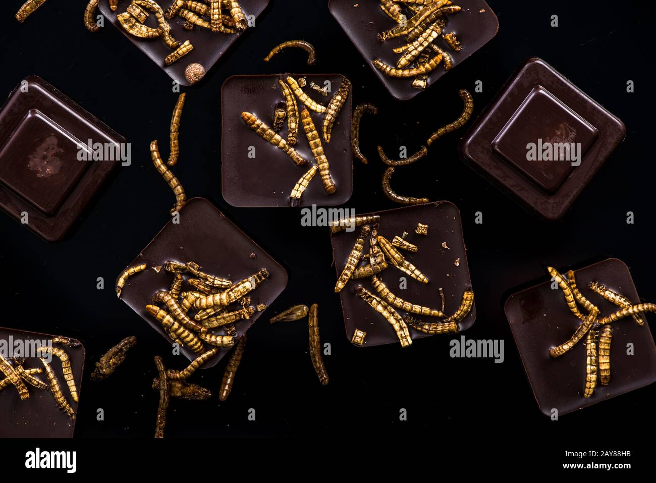Chocolate with edible worms, culinary trends Stock Photo - Alamy