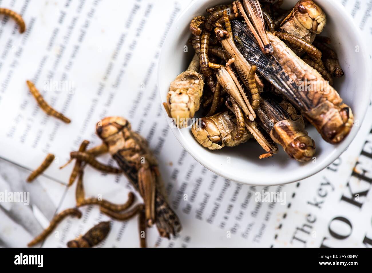 Fried edible worms, alternative proteins source food Stock Photo - Alamy