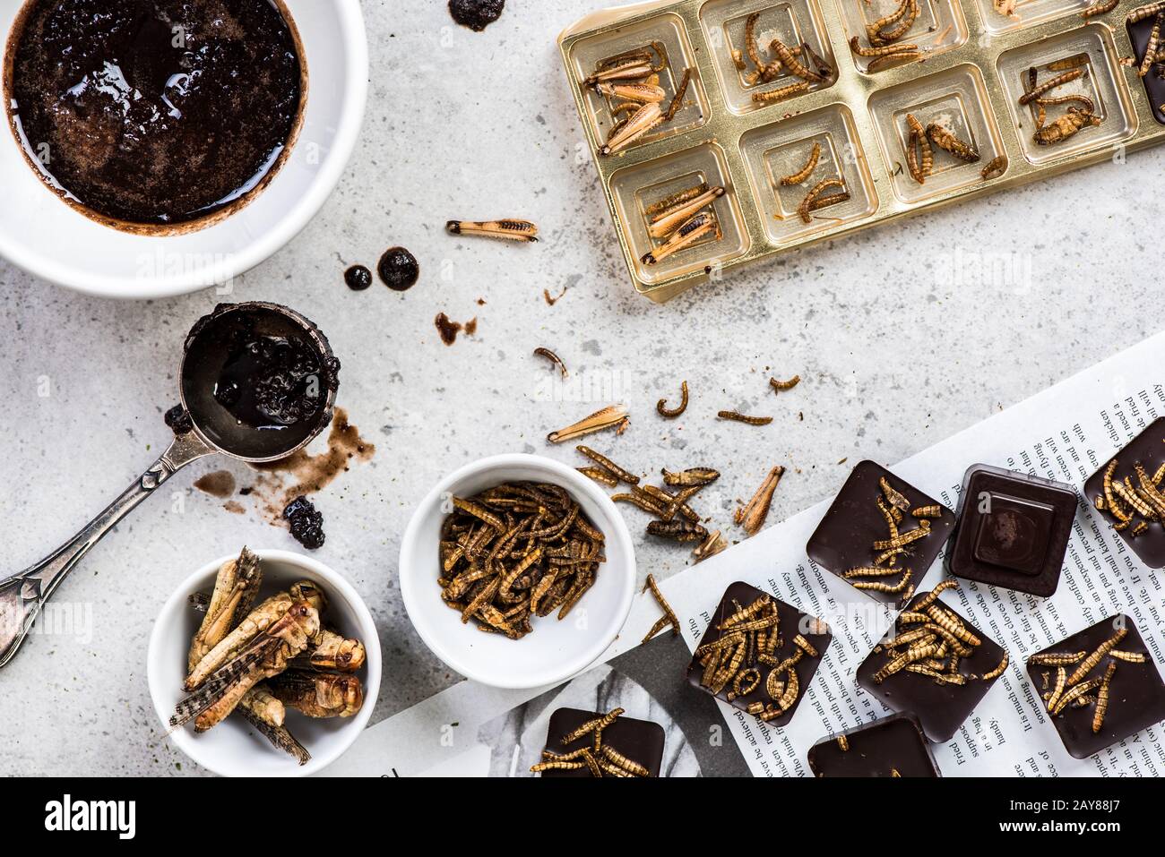 Edible insects hi-res stock photography and images - Alamy