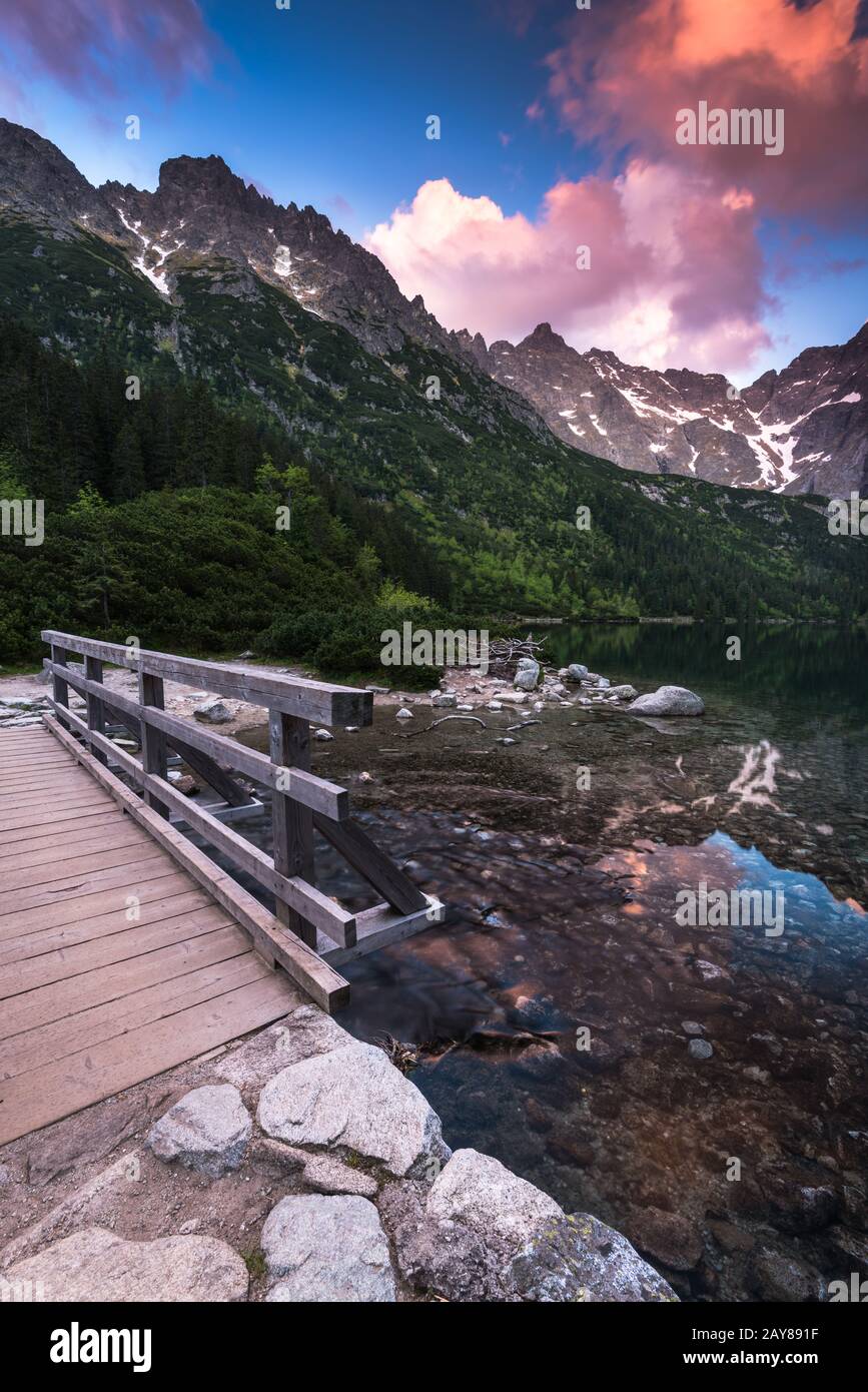 Hing tree hi-res stock photography and images - Alamy