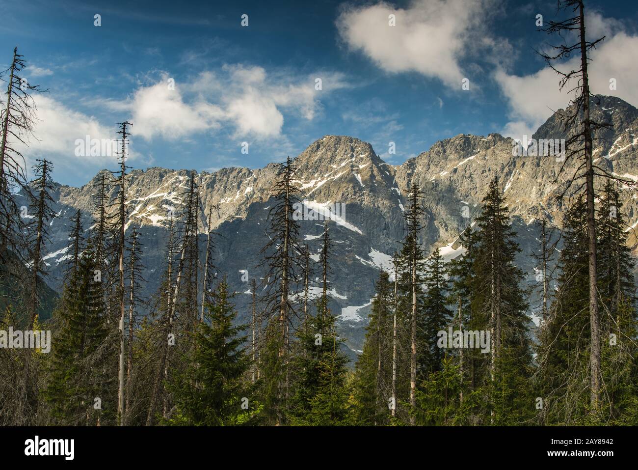 High summit with forest in foreground Stock Photo - Alamy