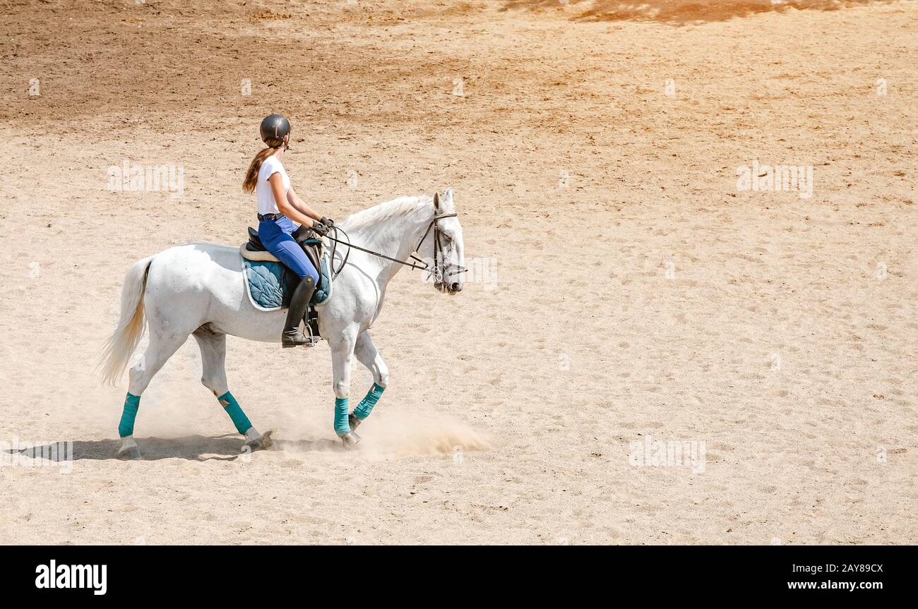 Equestrian sport hi-res stock photography and images - Alamy