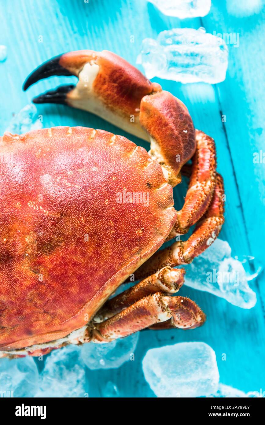 close view on fresh crab Stock Photo - Alamy