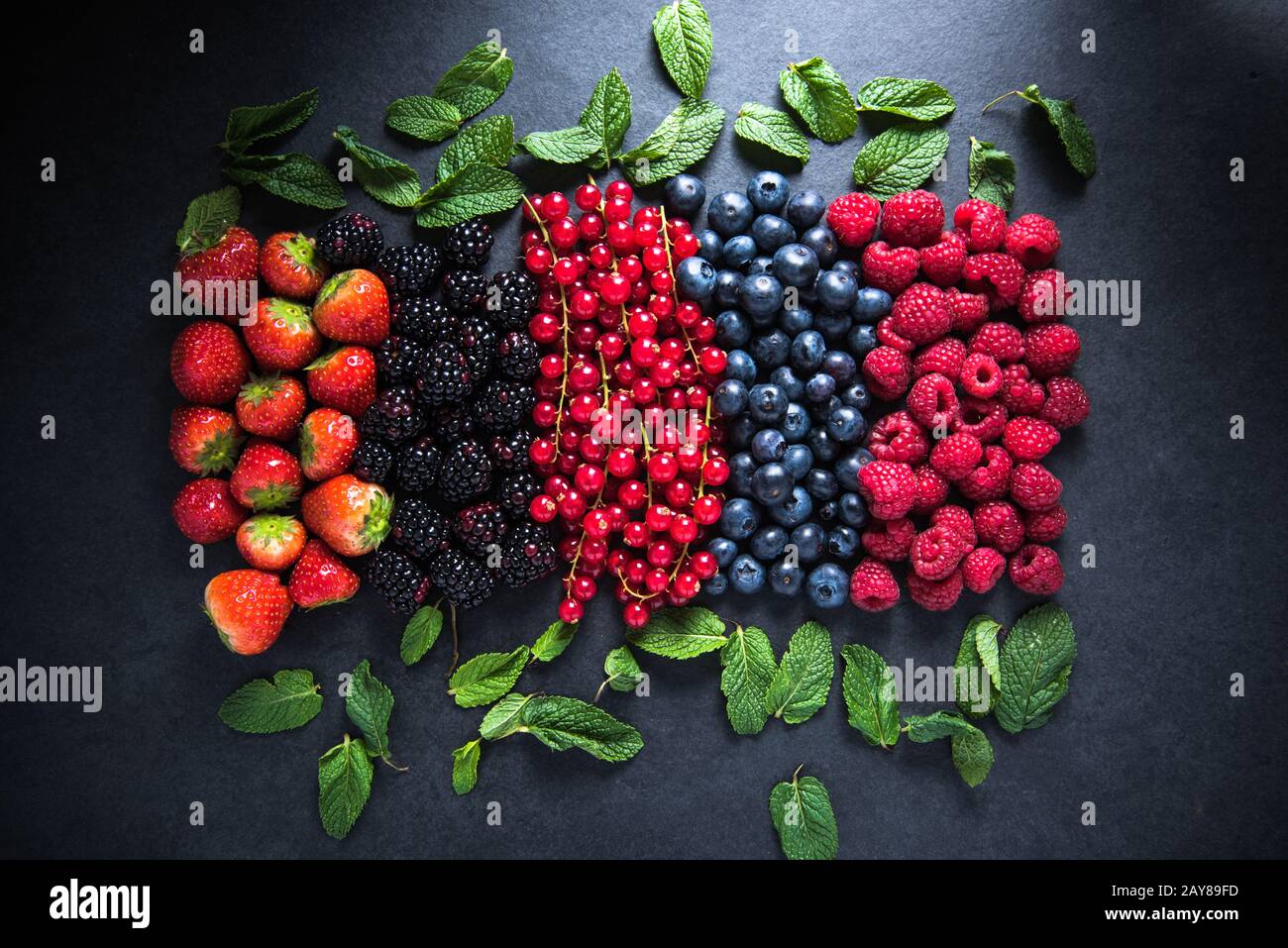 Berries from the forest hi-res stock photography and images - Alamy