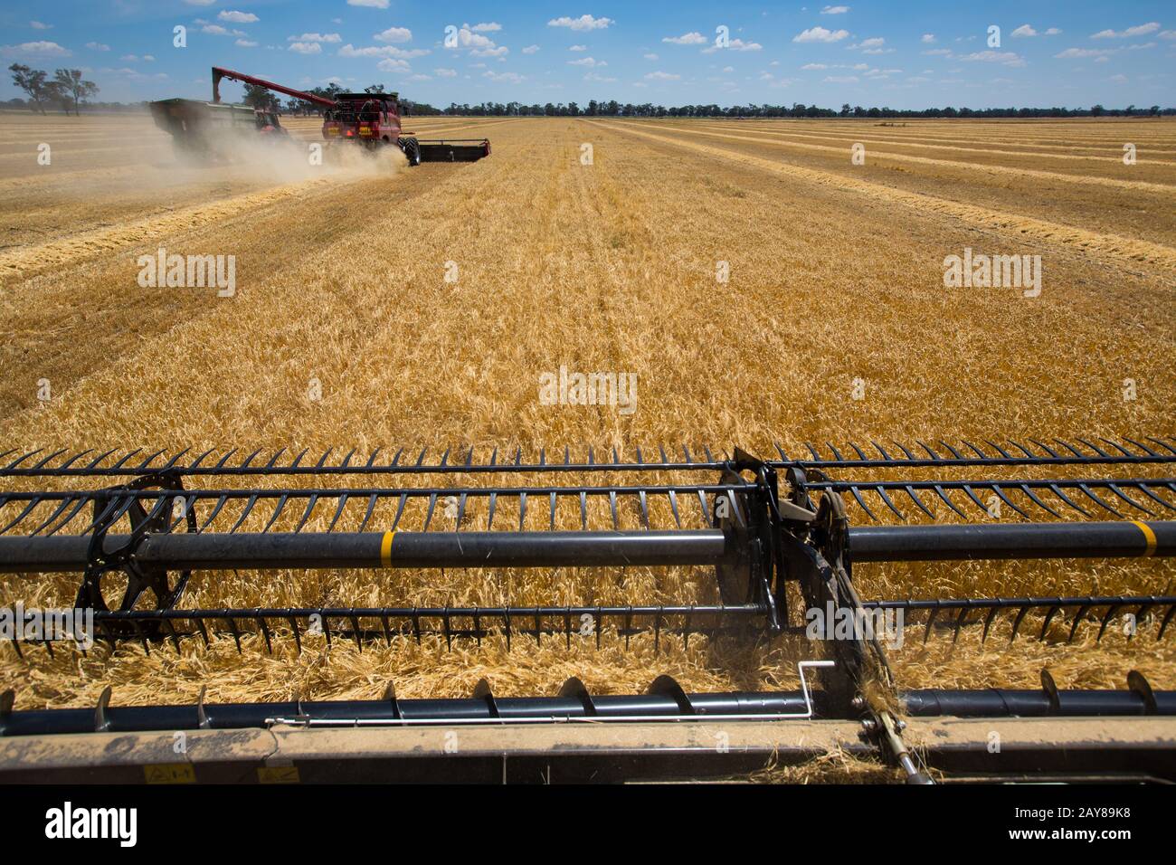 Australian farming header hi-res stock photography and images - Alamy