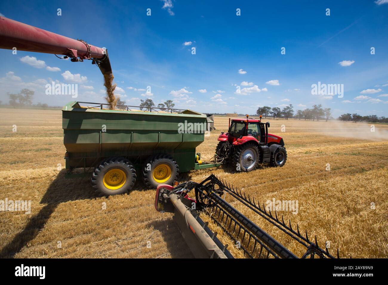 Australian farming header hi-res stock photography and images - Alamy