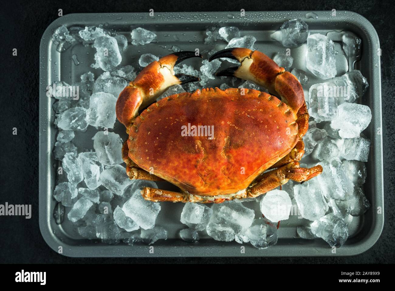Whole crab on ice cubes Stock Photo - Alamy