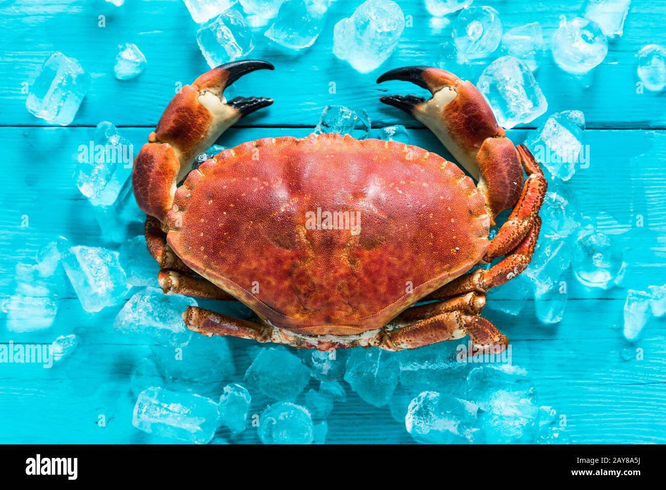 Fresh whole crab on vibrant background Stock Photo - Alamy