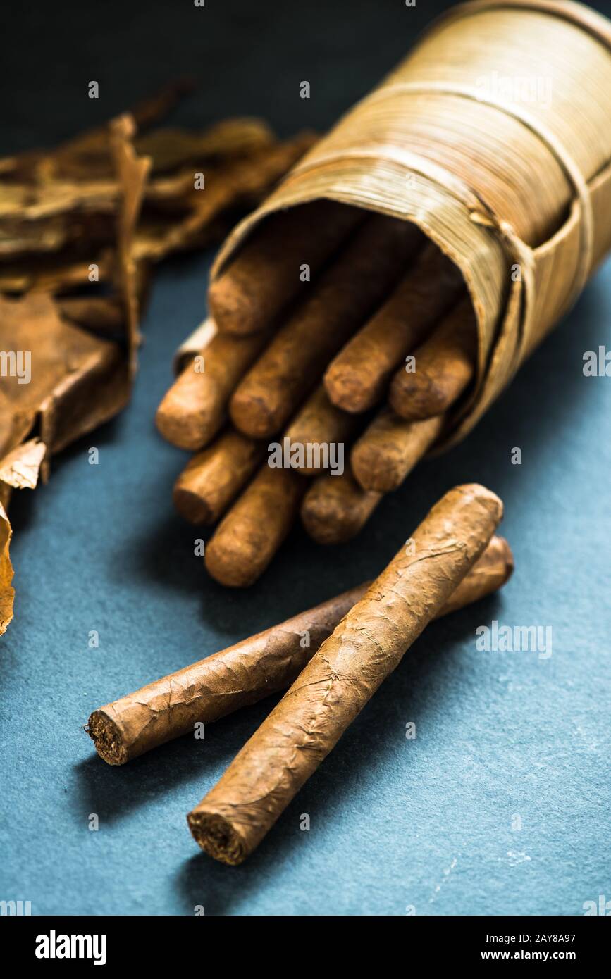 Cuban cigars in traditional palm leafs box Stock Photo - Alamy