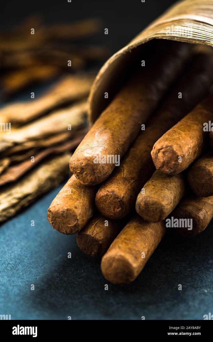 Cuban cigars in traditional palm leafs box Stock Photo - Alamy