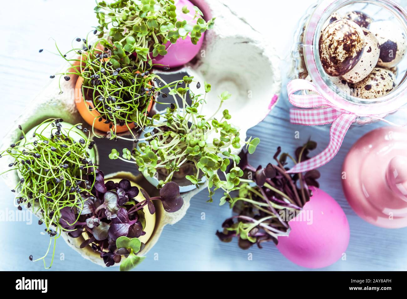 Healthy seed sprout in easter eggs shell, from above Stock Photo - Alamy