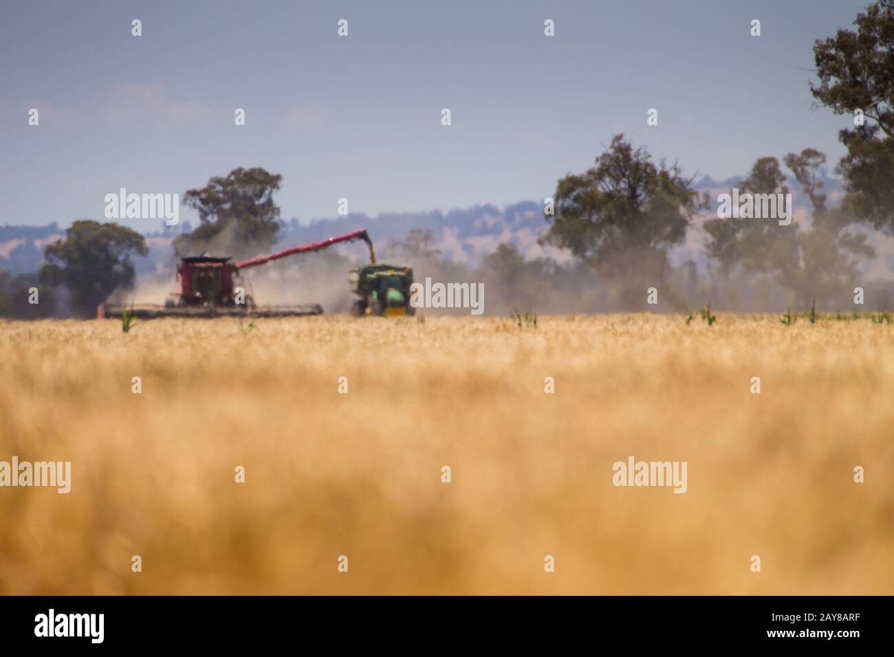 Australian farming header hi-res stock photography and images - Alamy