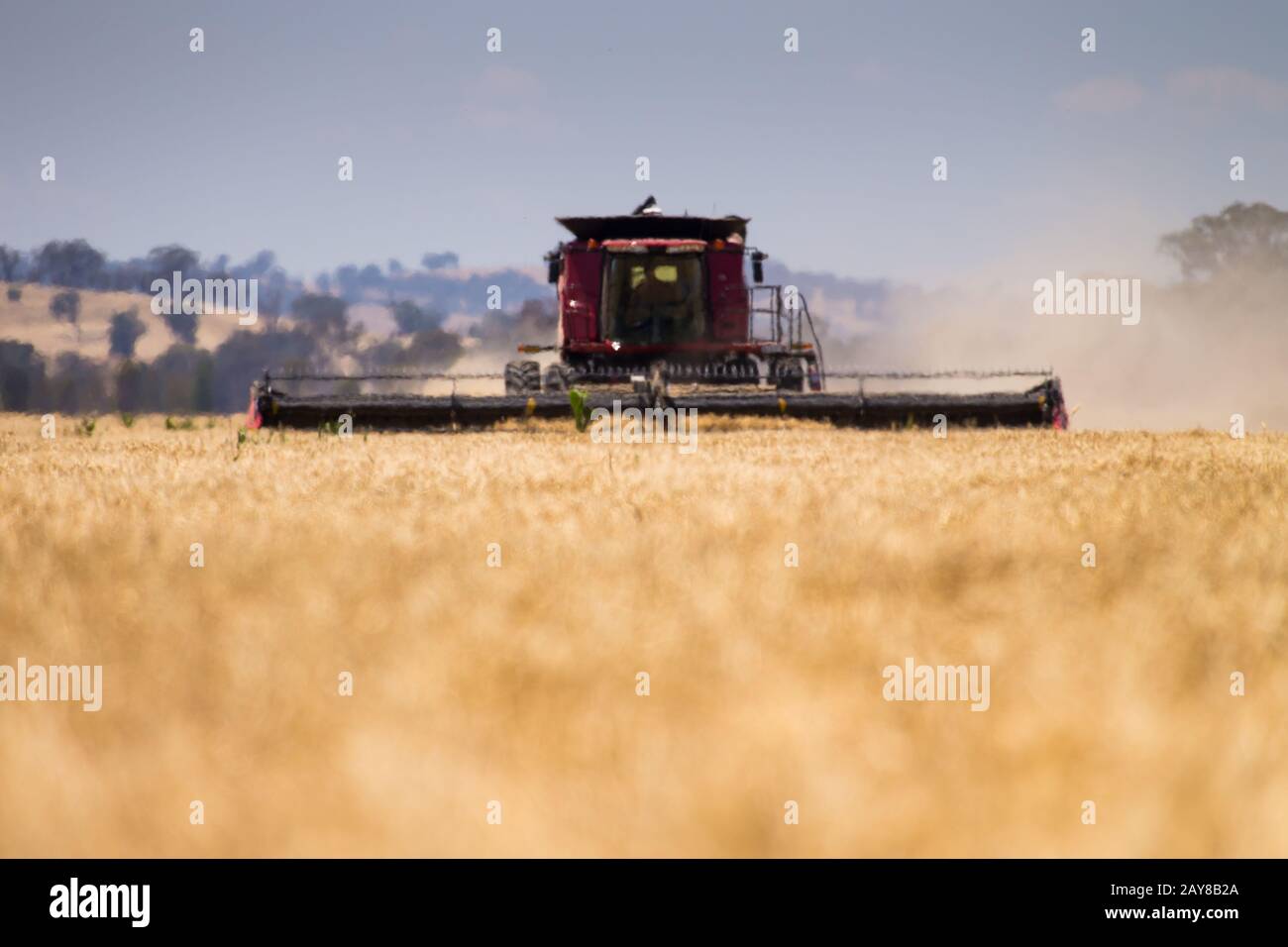 Australian farming header hi-res stock photography and images - Alamy