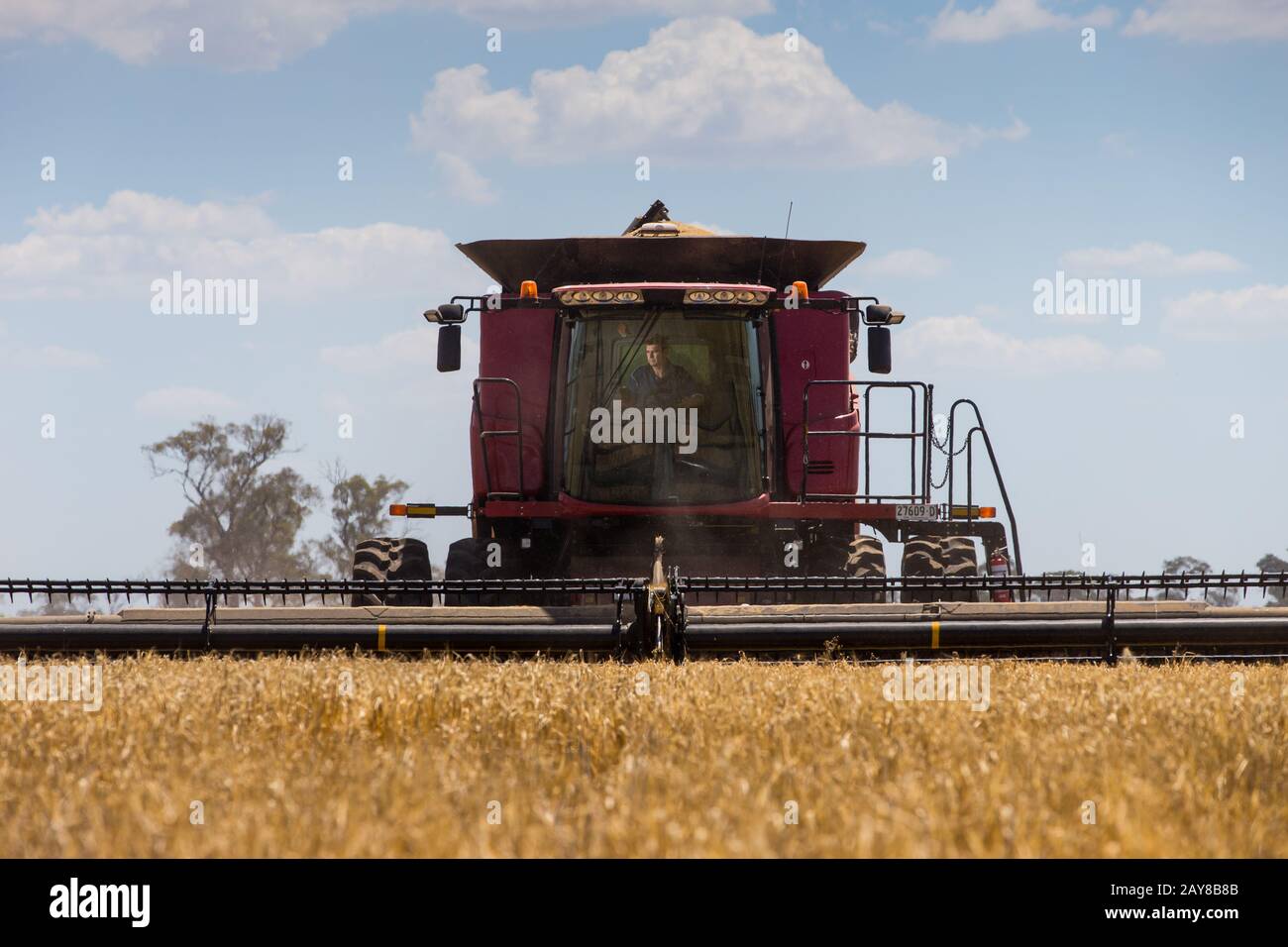 Australian farming header hi-res stock photography and images - Alamy