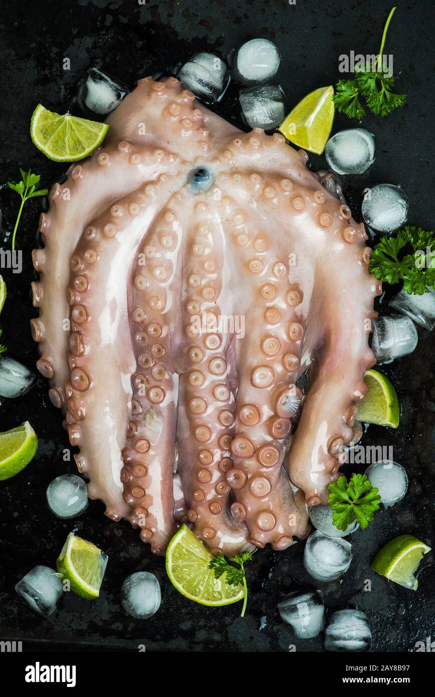 Whole raw octopus seafood Stock Photo - Alamy