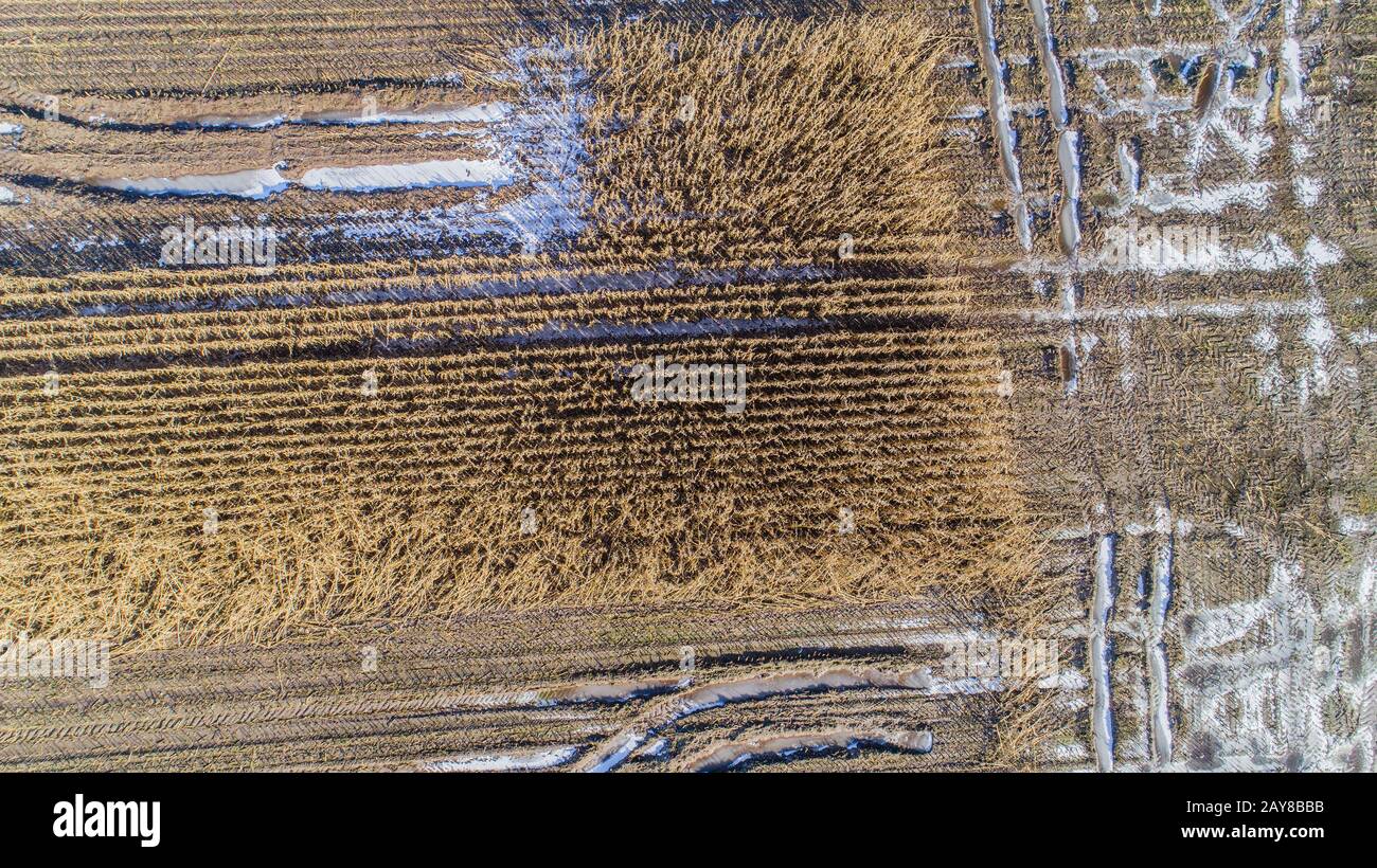Aerial view of Corn fields after a rainy season Stock Photo - Alamy