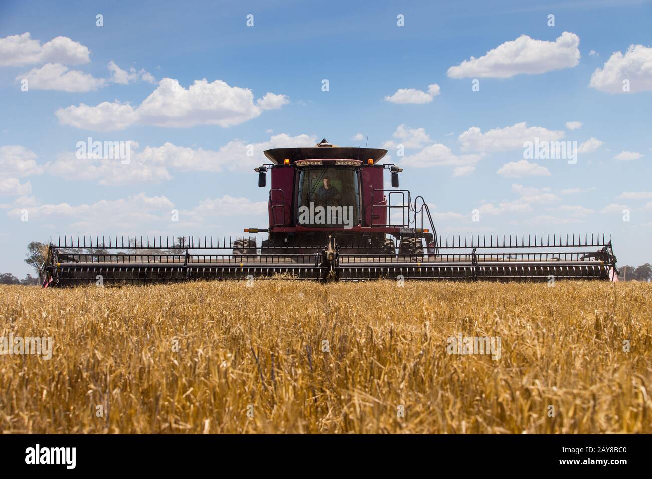 Harvesting farming wheat field agriculture hi-res stock photography and ...