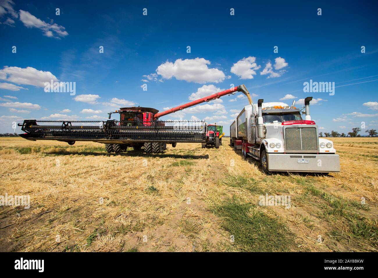 Australian wheat harvest hi-res stock photography and images - Alamy