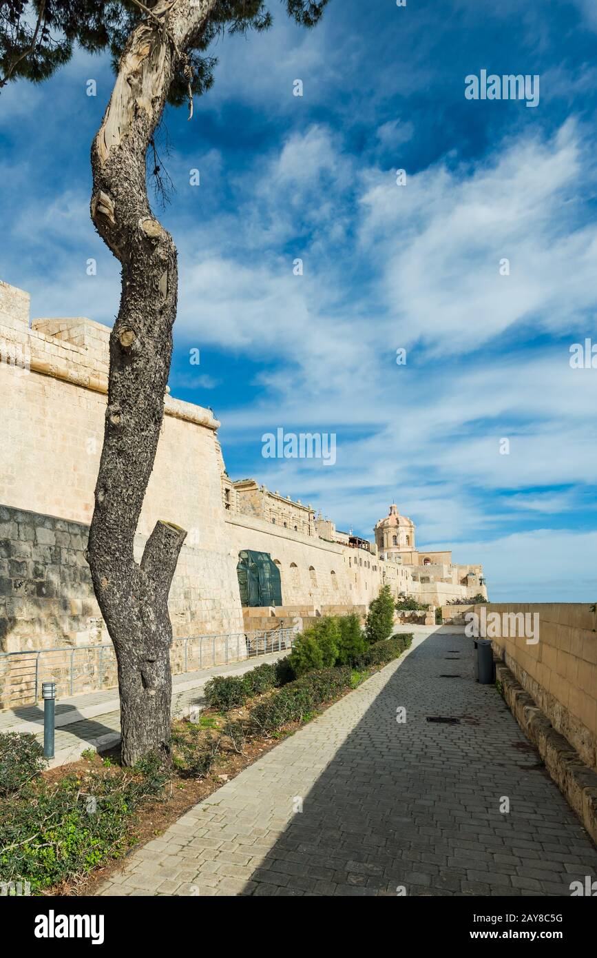 Gardens in Mdina,Malta Stock Photo - Alamy