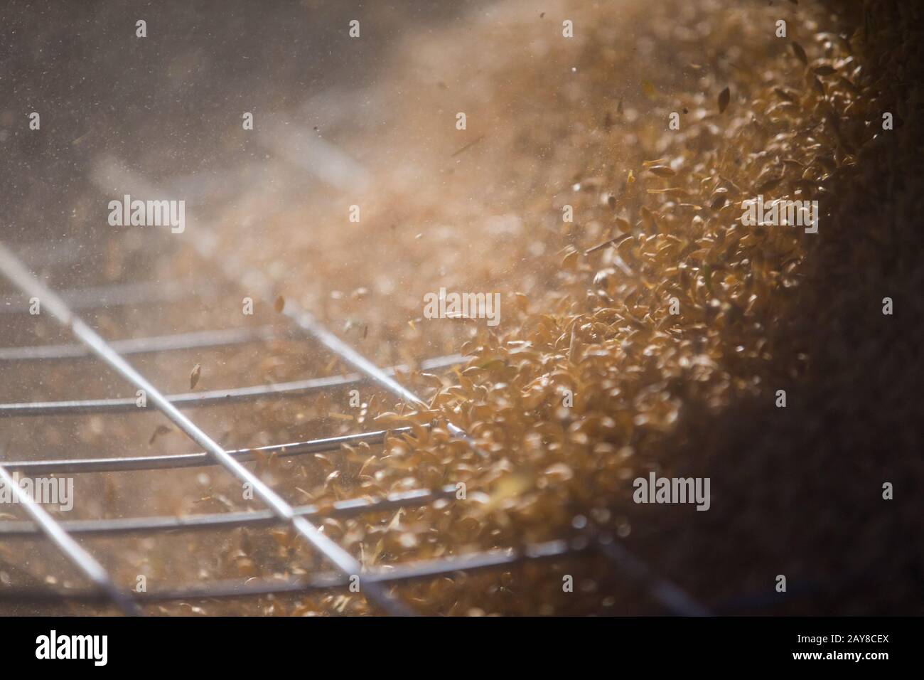 Australian grain production hi-res stock photography and images - Alamy