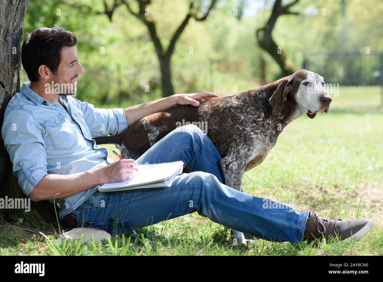 man sat by tree sketching with his dog Stock Photo - Alamy