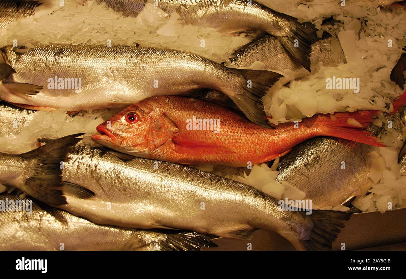 Seattle farmers market town city hi-res stock photography and images ...