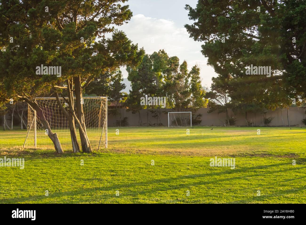 Football field between trees Stock Photo - Alamy
