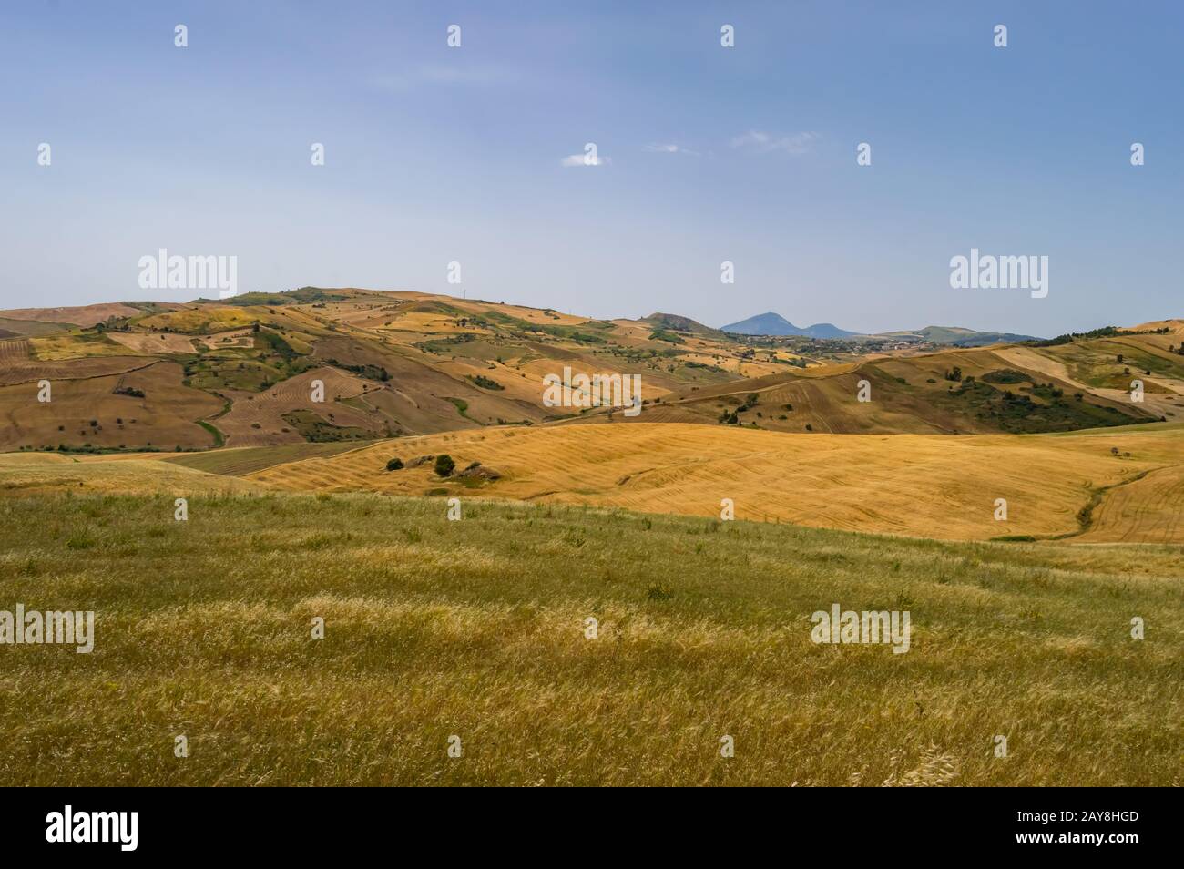 Vicari hi-res stock photography and images - Alamy