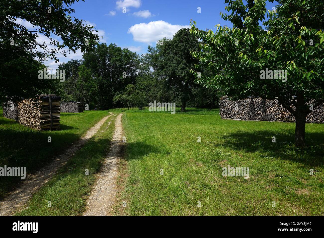 meadow; orchard; wood pile; wood stack, field road, fieldpath Stock ...