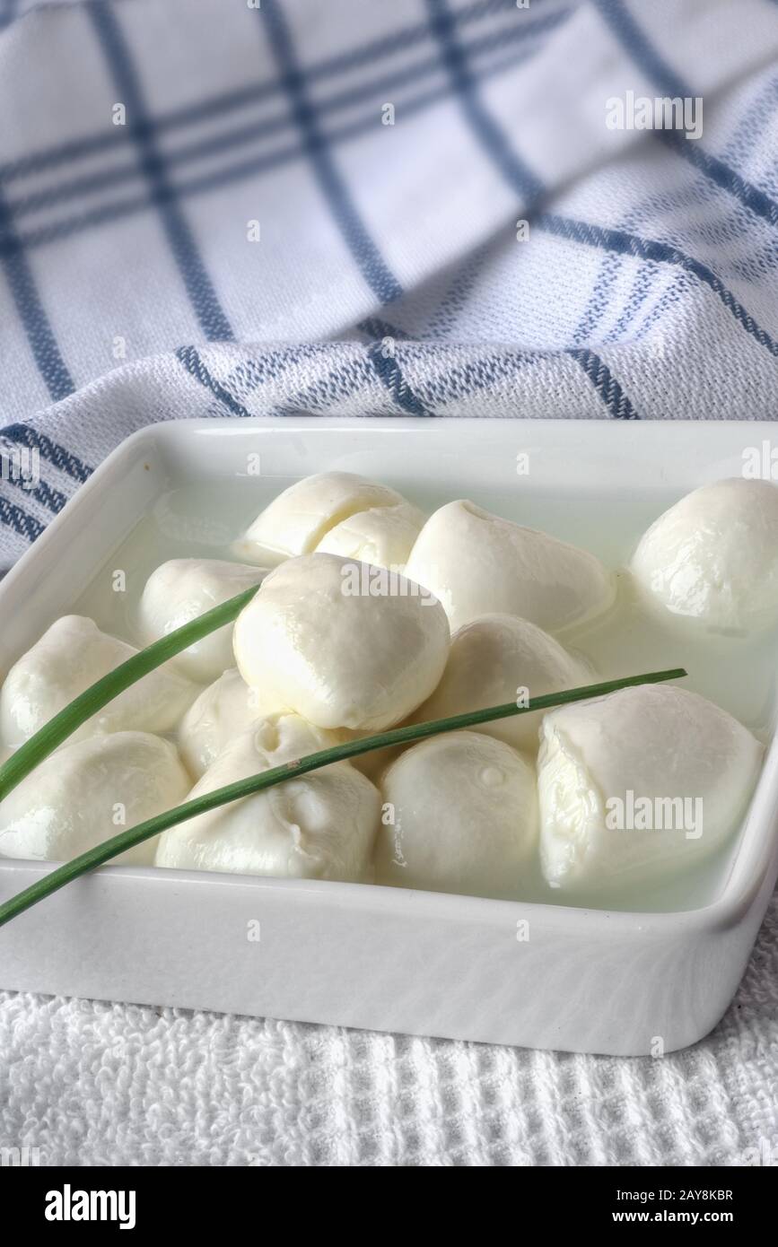 Italian buffalo mozzarella - Mozzarella di Bufala Campana Stock Photo ...