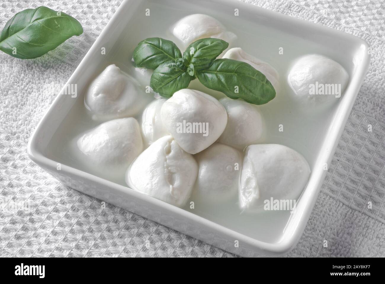 Italian buffalo mozzarella - Mozzarella di Bufala Campana Stock Photo ...
