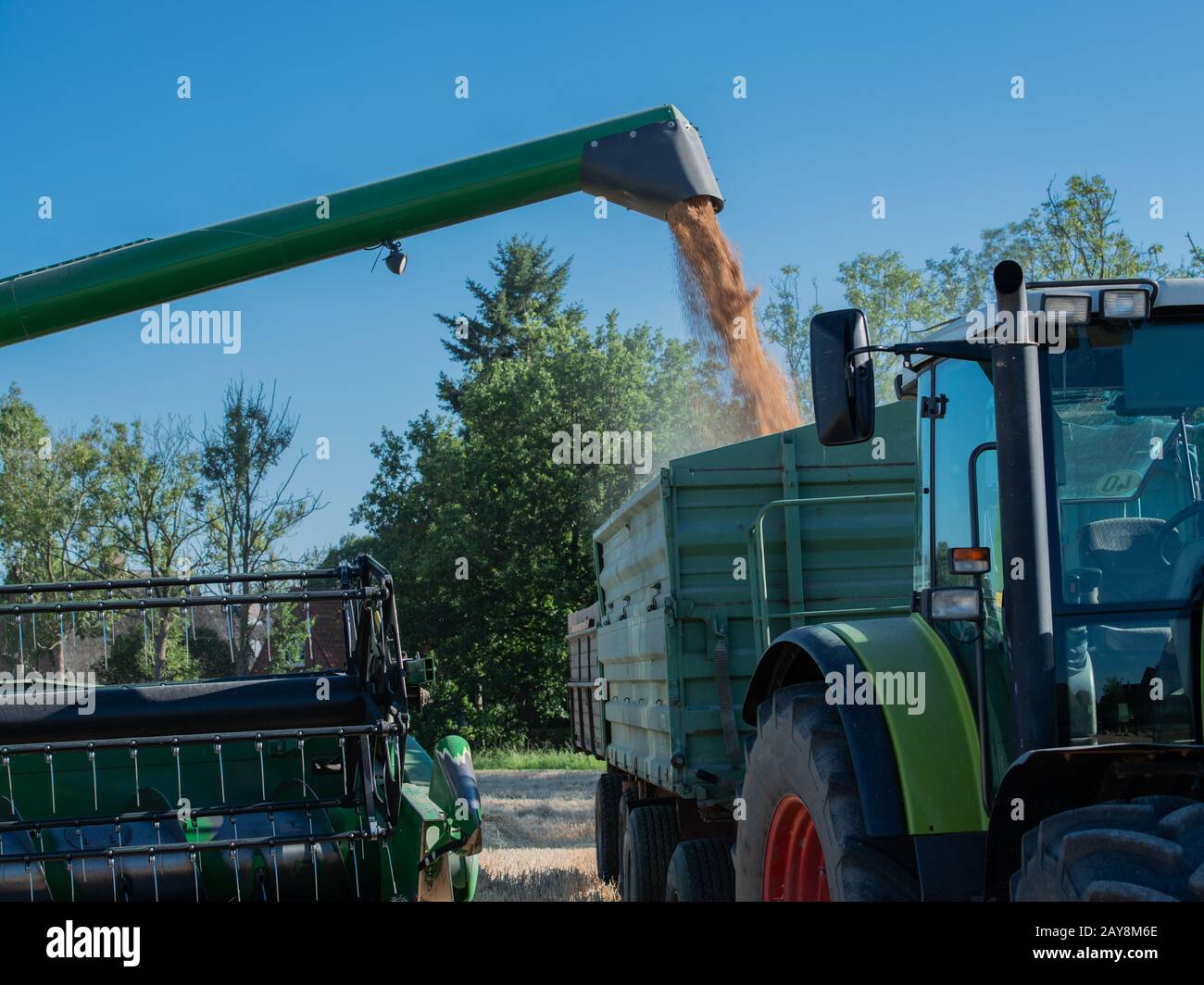 Crop harvest on a grain field at blue sky Stock Photo - Alamy