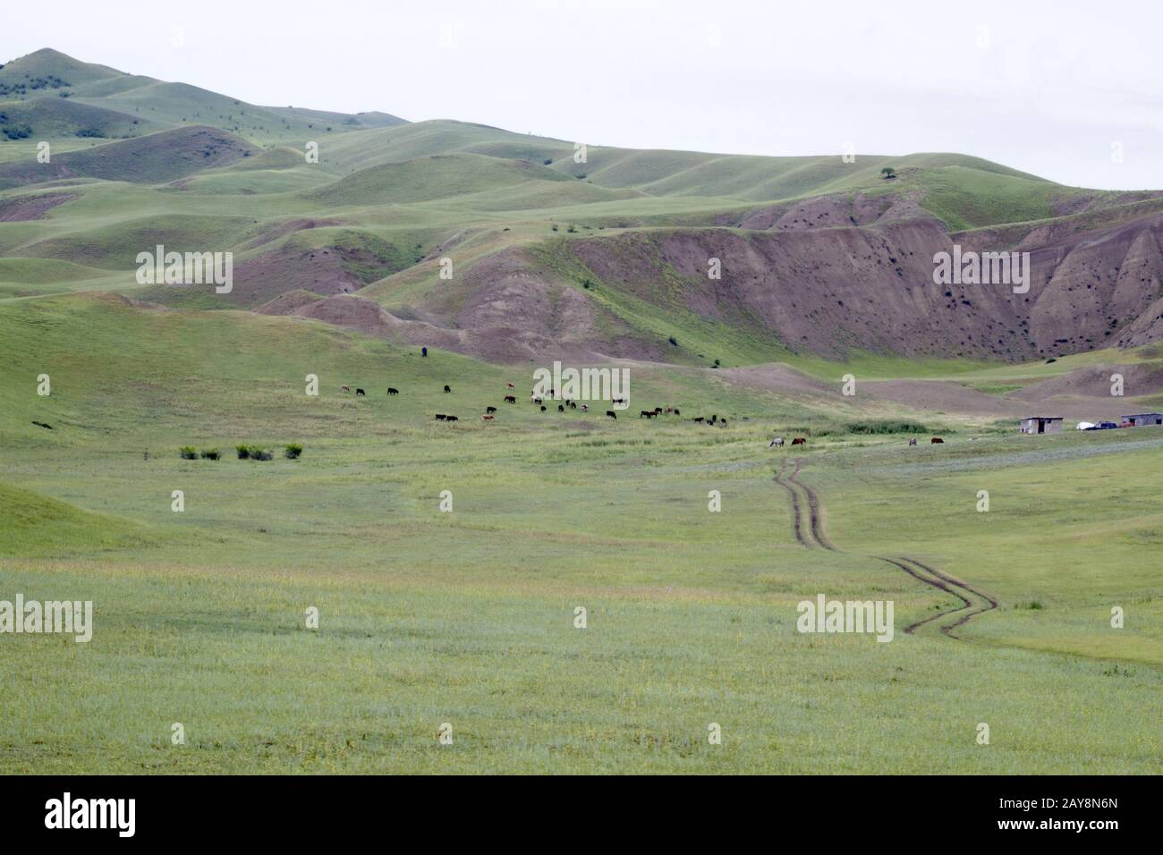 Chachuna Managed Nature Reserve, Georgia Stock Photo - Alamy