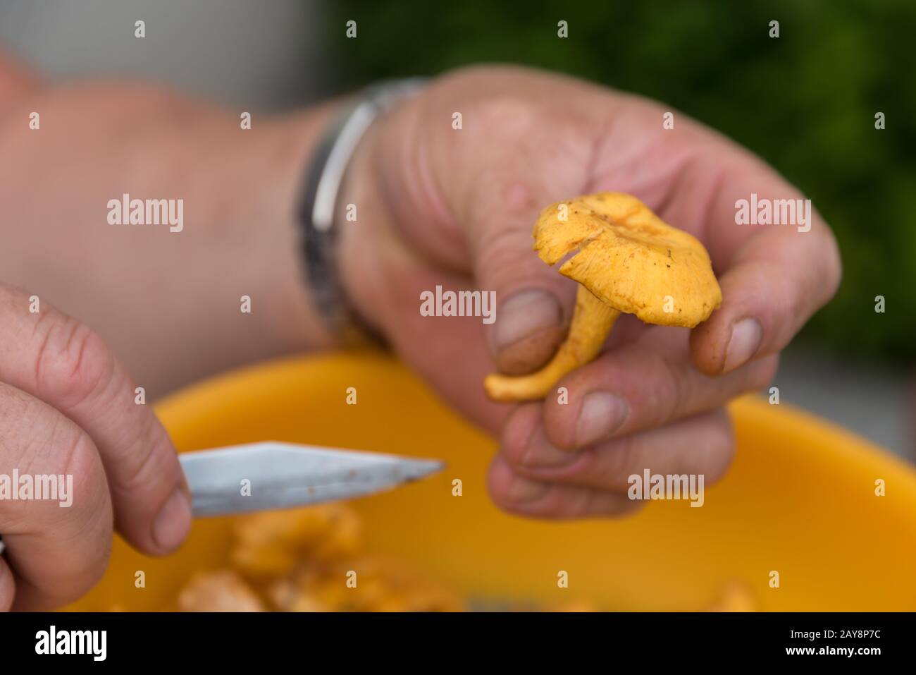 Chantarella hi-res stock photography and images - Alamy