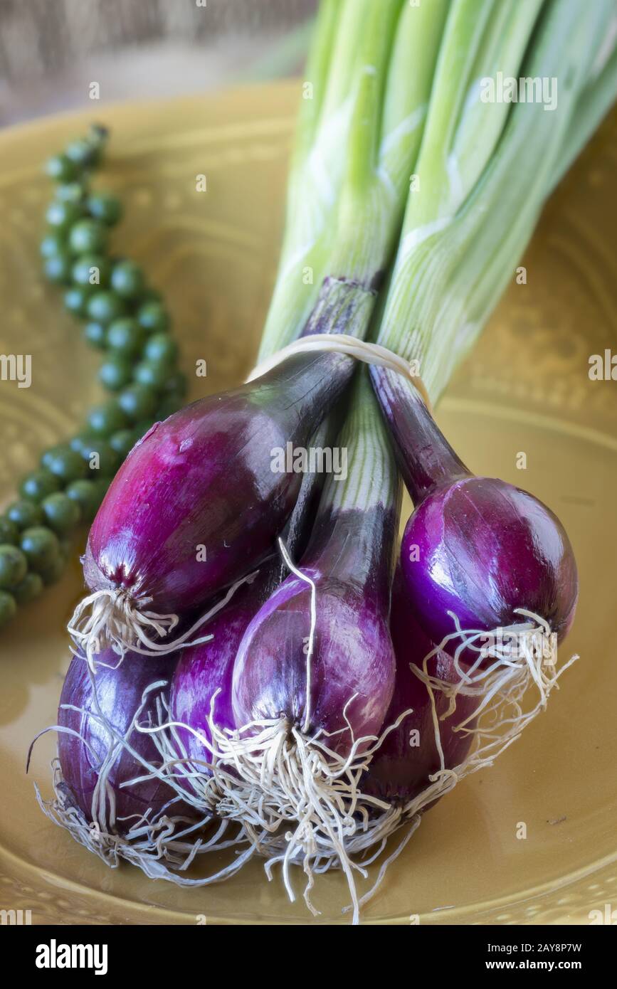 Purple spring onions Stock Photo - Alamy