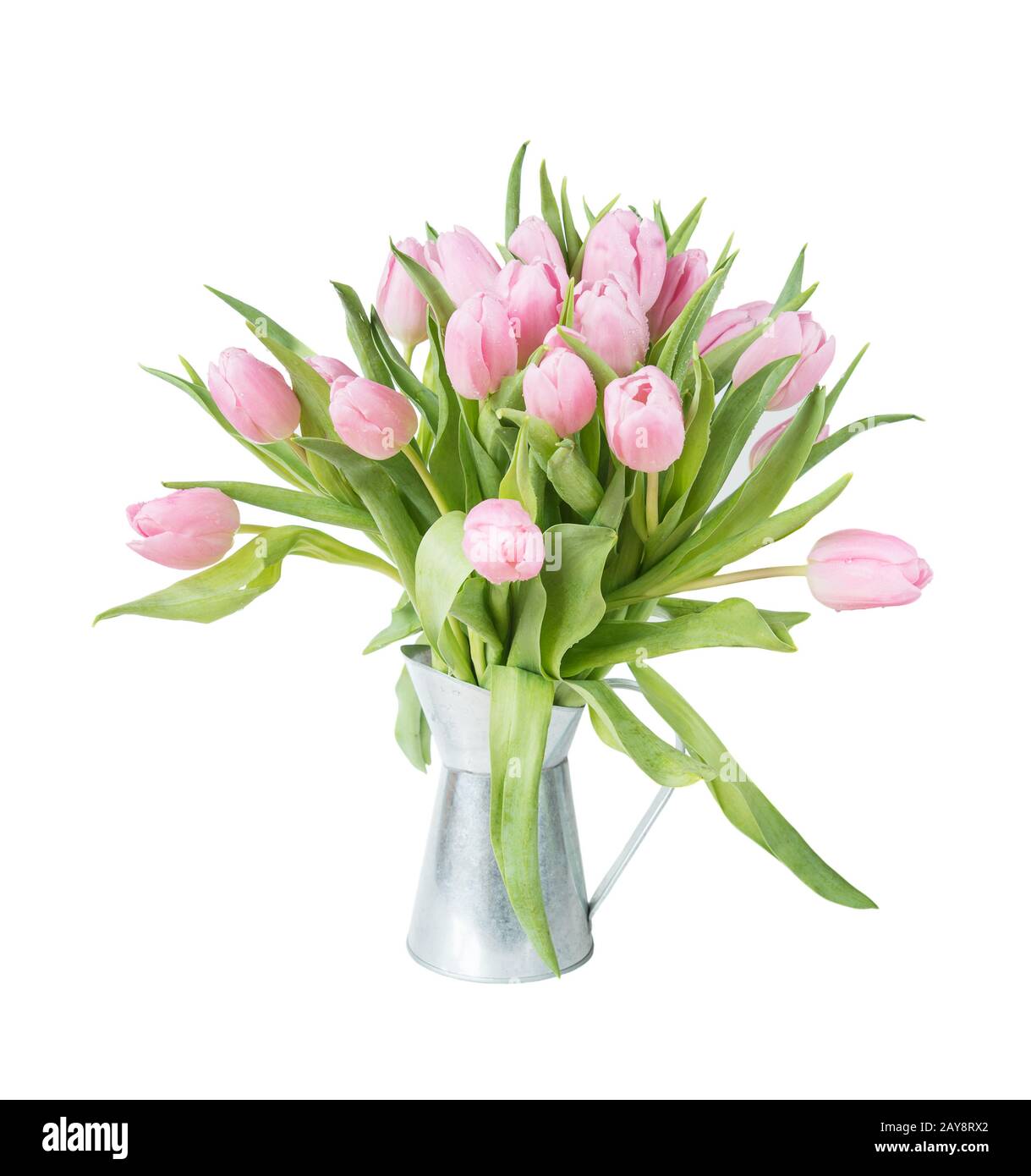 Bunch pink tulips water Cut Out Stock Images & Pictures - Alamy
