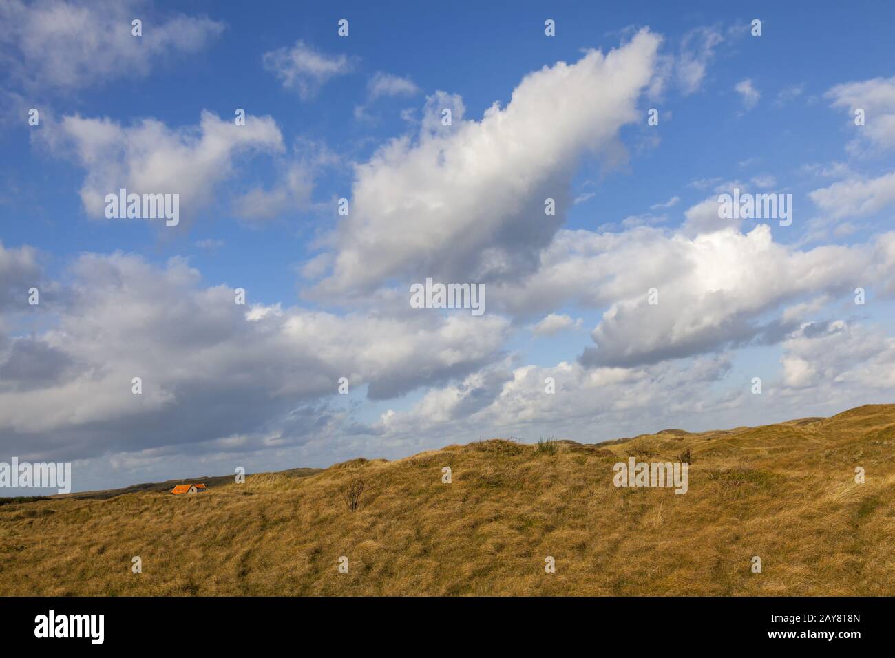 Island of texel hi-res stock photography and images - Alamy