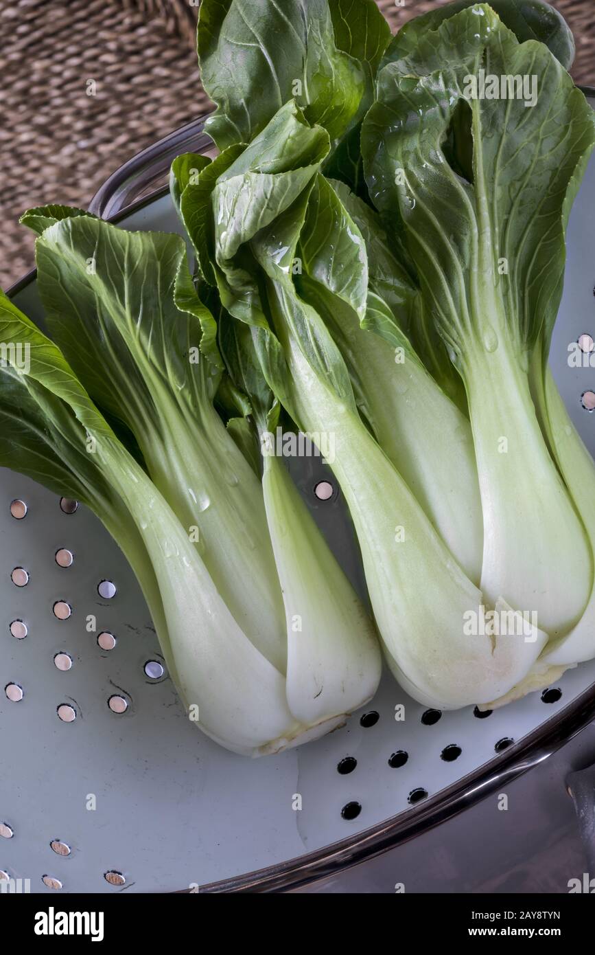 Chinese cabbage, pak choi Stock Photo - Alamy
