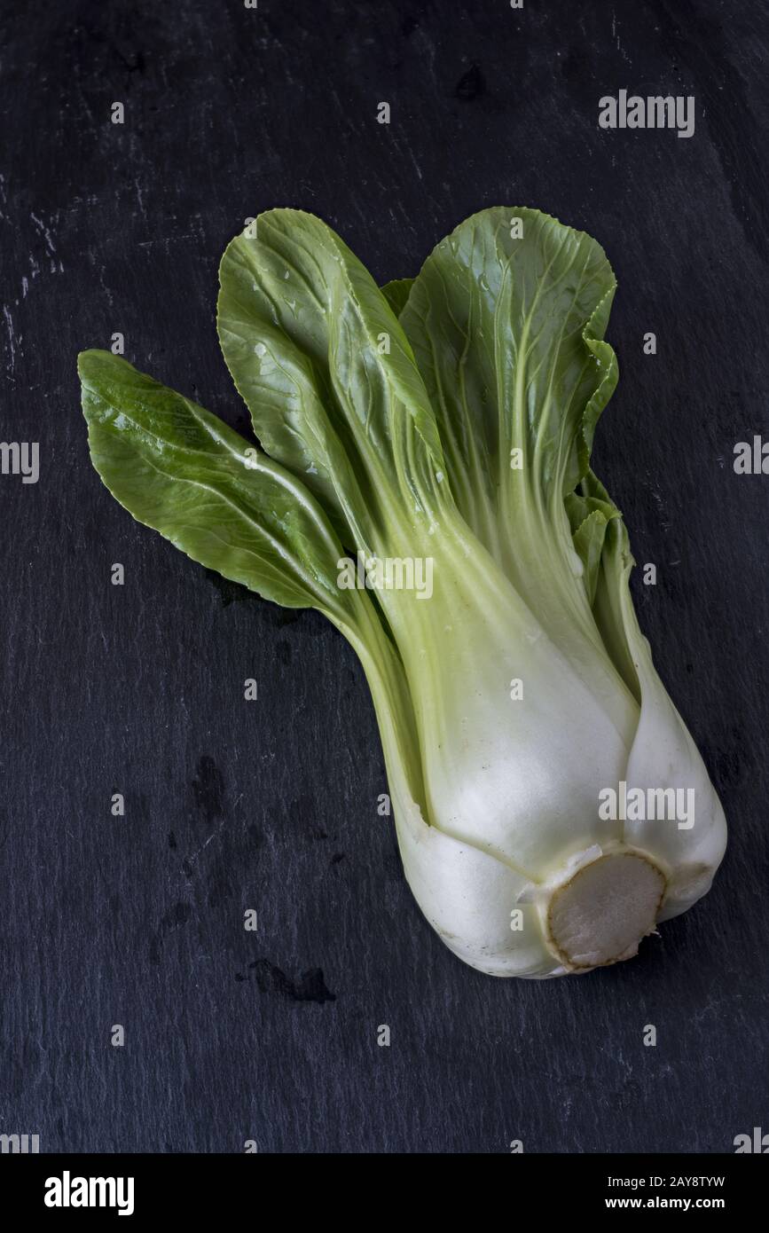 Chinese cabbage, pak choi Stock Photo - Alamy