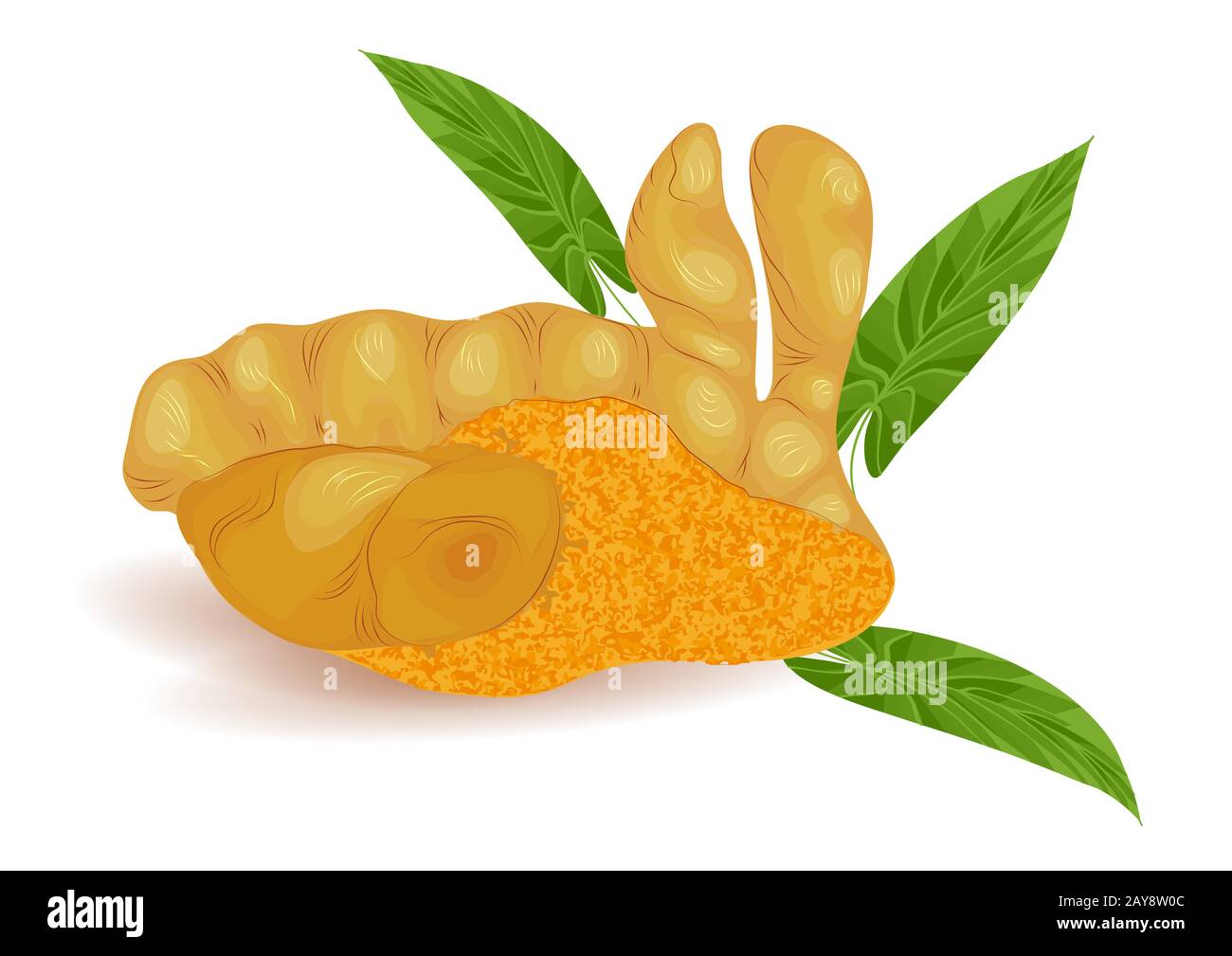 Fresh turmeric powder on Stock Vector Images - Alamy