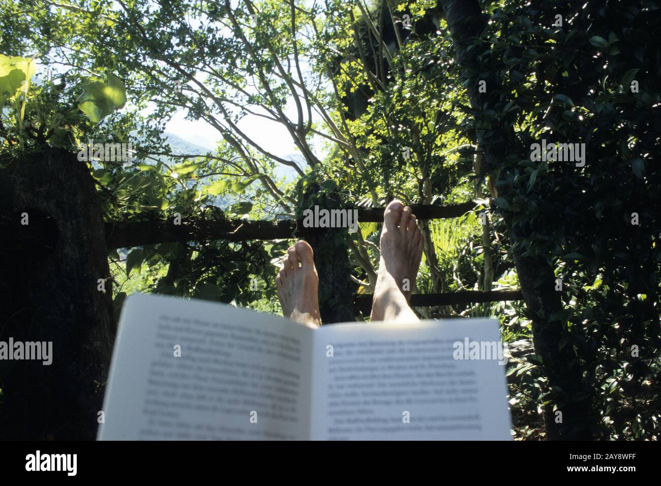 Reading in the garden Stock Photo - Alamy