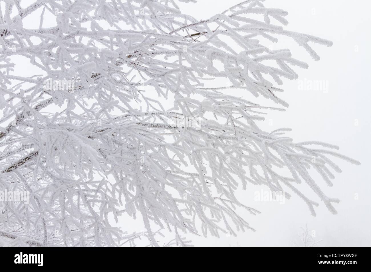 Frost scenery hi-res stock photography and images - Alamy