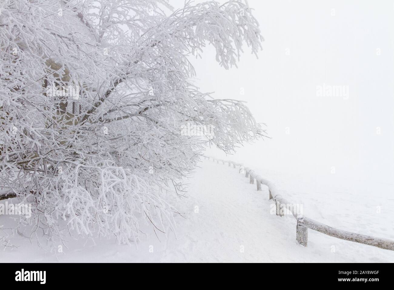 Frost scenery hi-res stock photography and images - Alamy