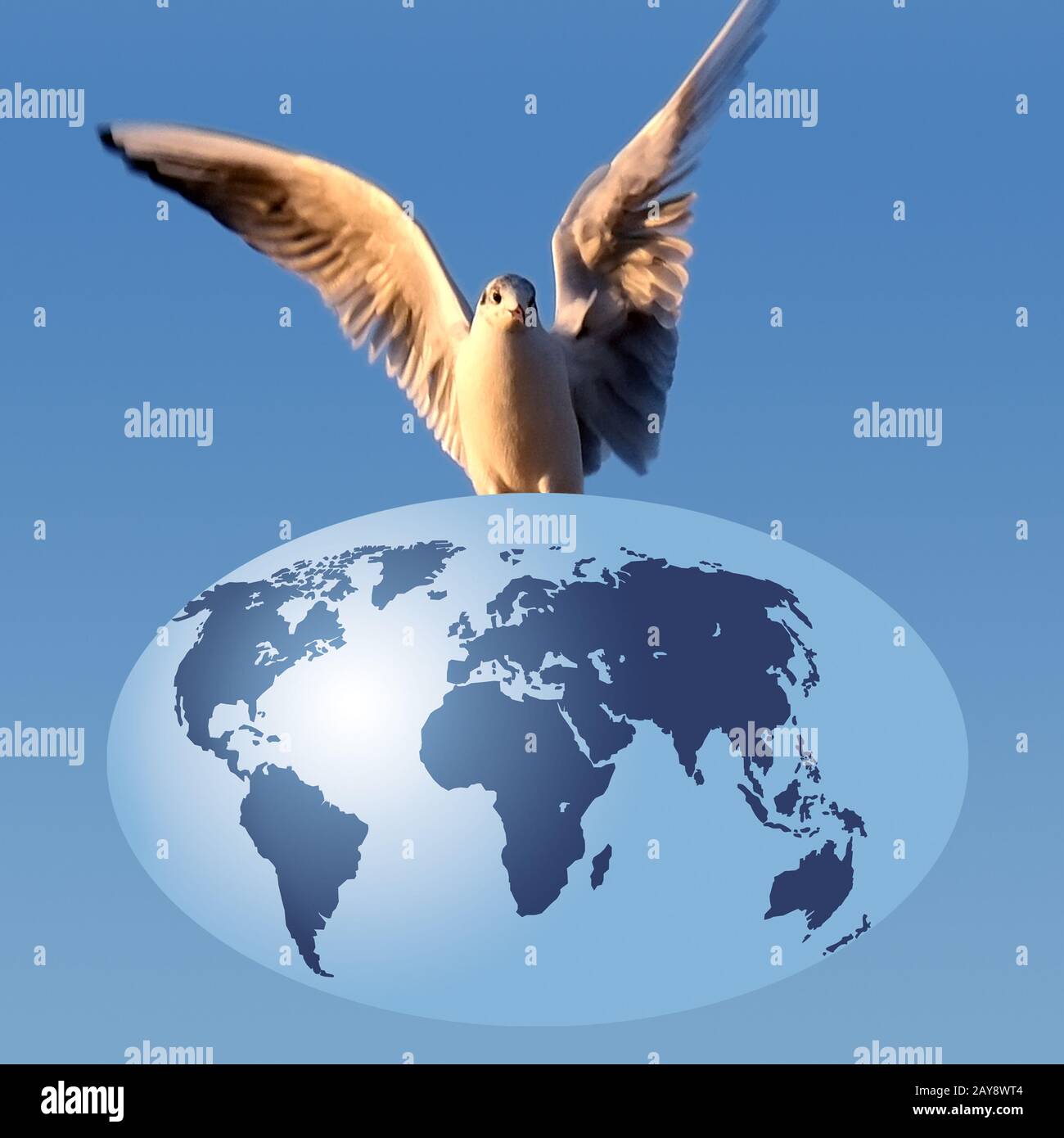 Spread out wings hi-res stock photography and images - Alamy