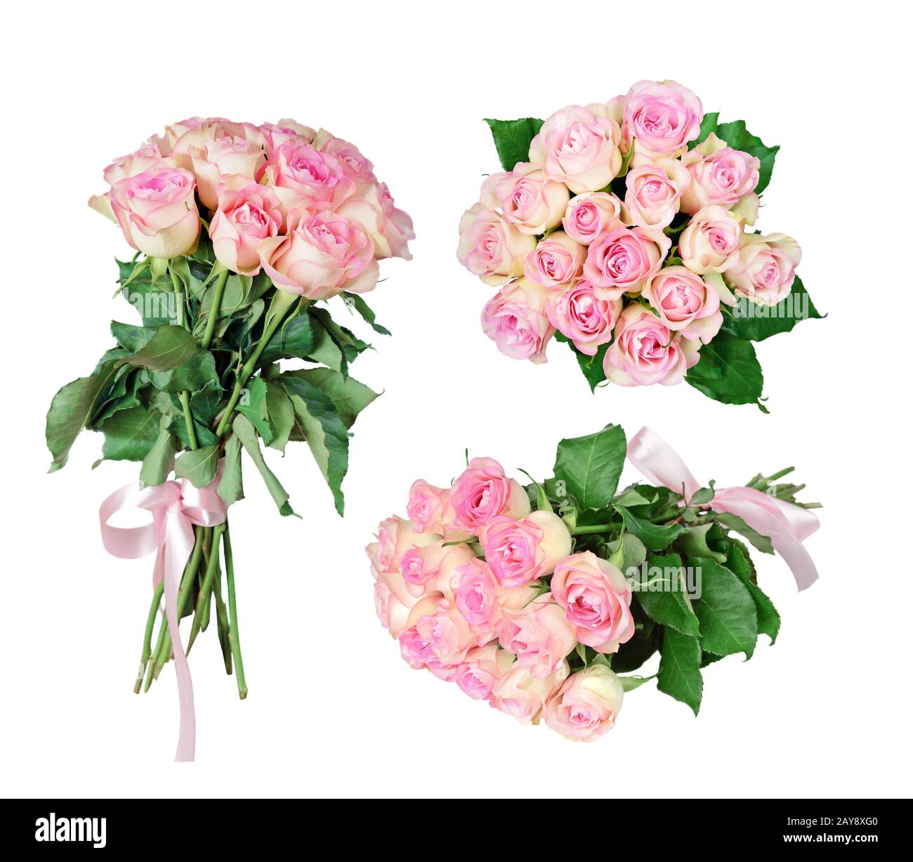 Pink roses on white background Stock Photo - Alamy