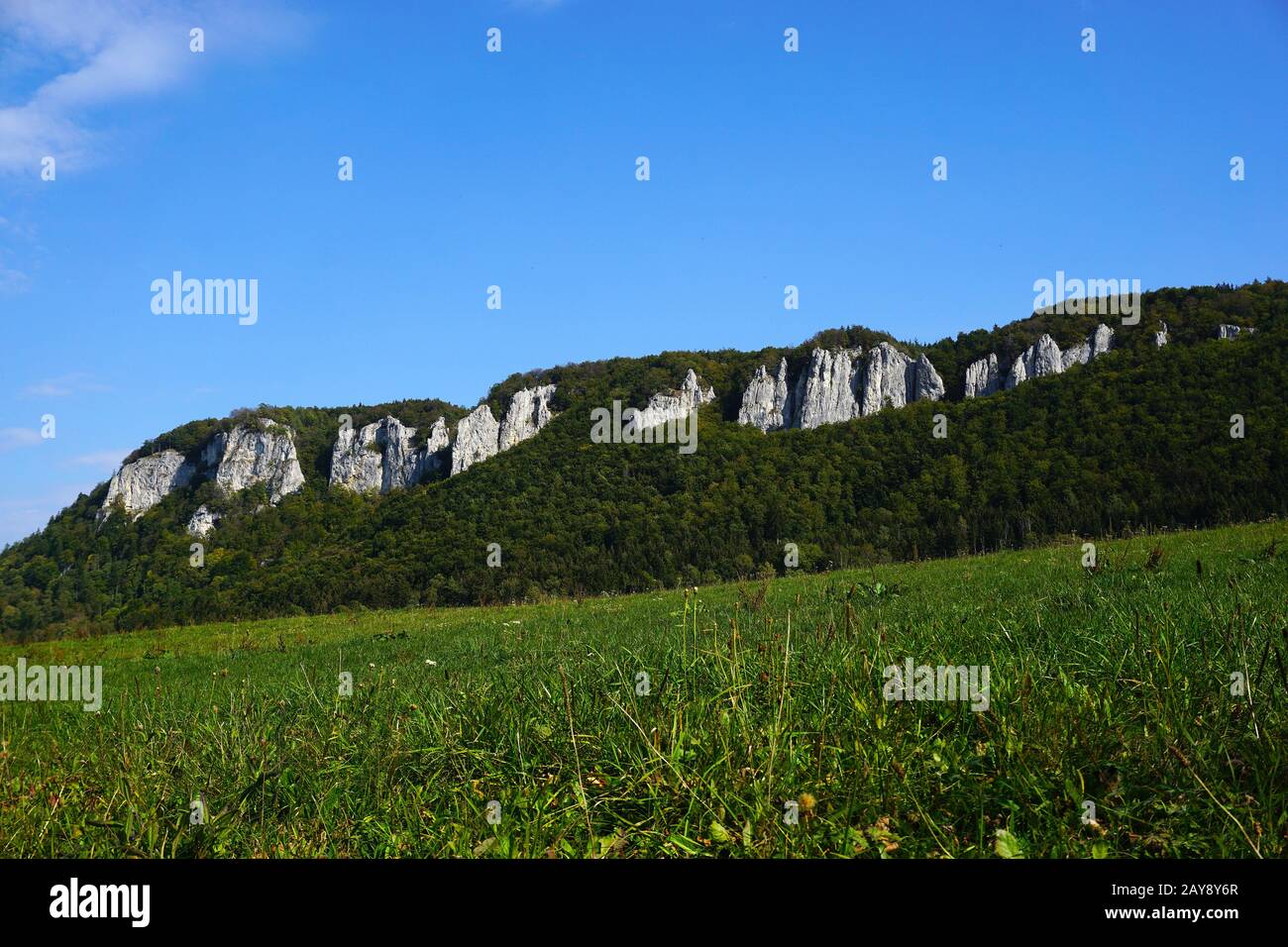 danube valley, Upper danube, nature park, swabian alps, germany, lime ...